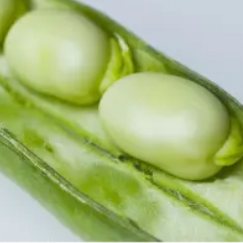 YUMGO | The Egg Without the Chick - Plant-Based Egg Substitutes